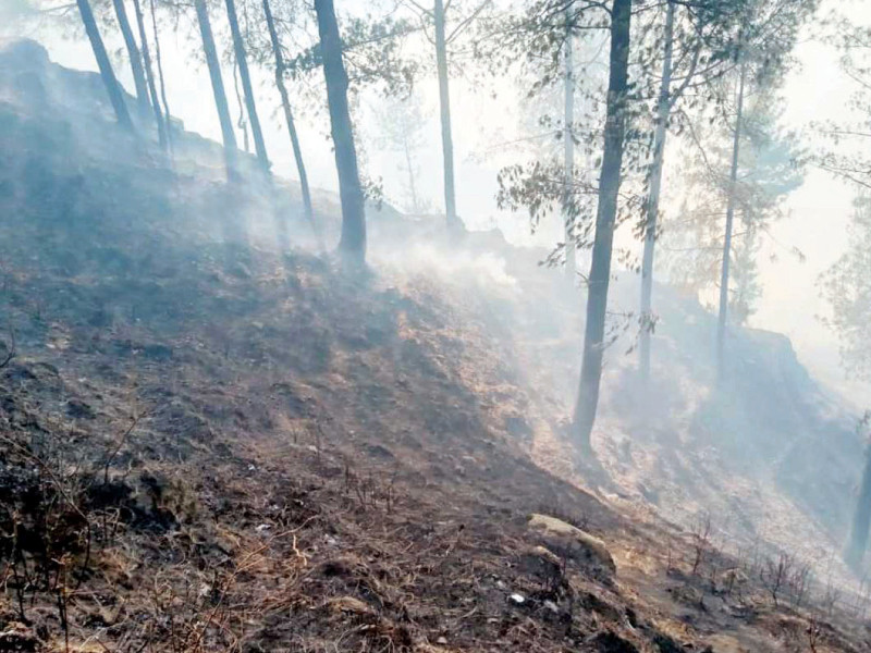 Govt struggles to douse wild fire in Jabban Dargai