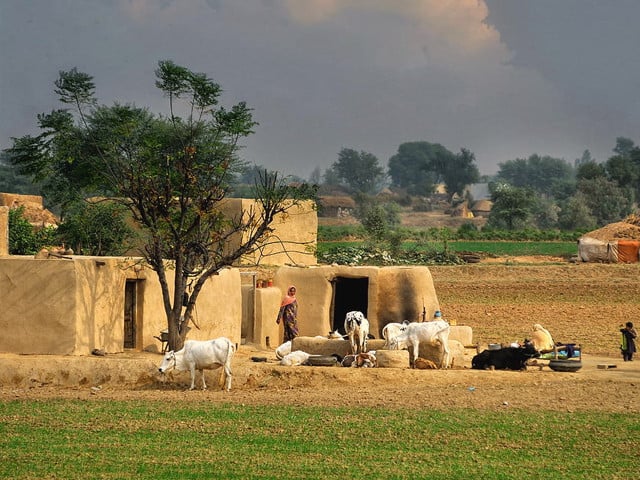 Punjab revives village watchmen system - Pakistan Today