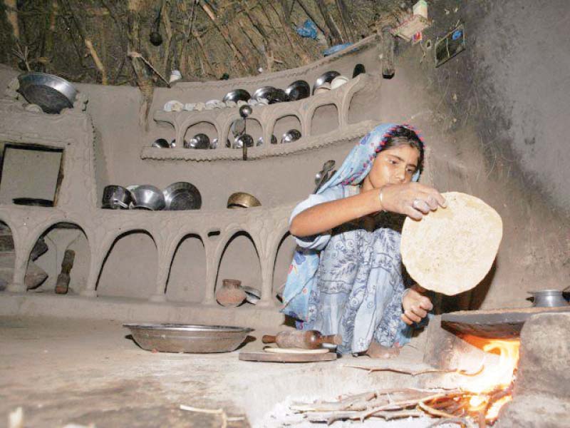 Govt striving to address food insecurity