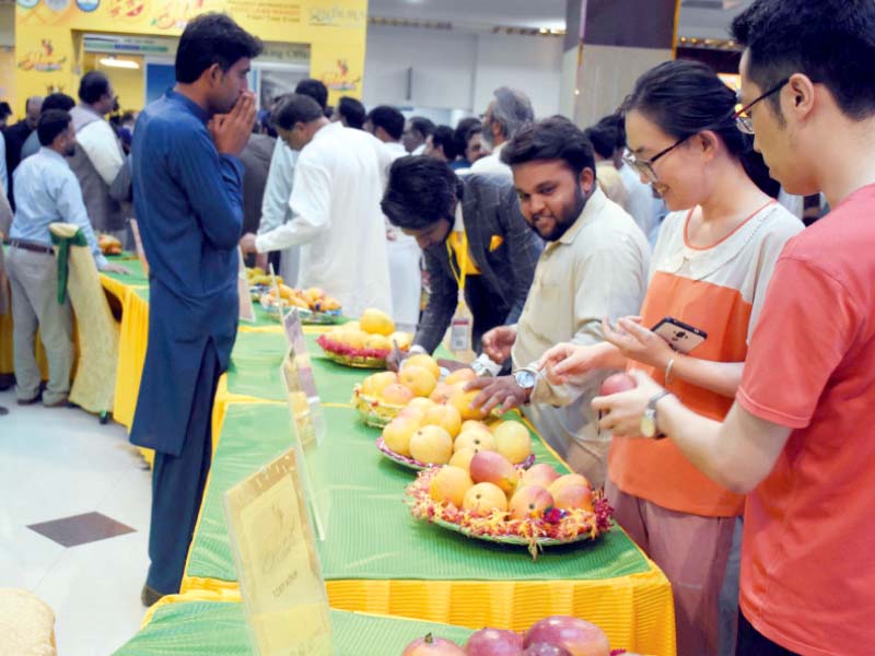 Mango festival starts
