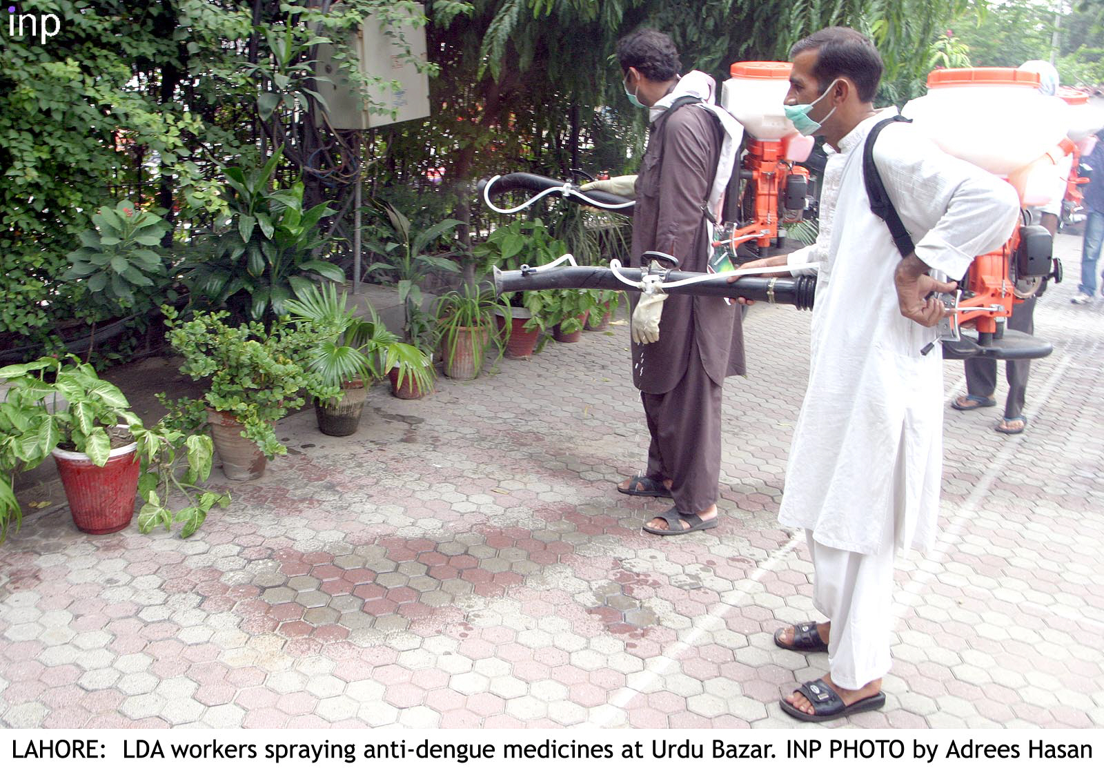 Mosquitoes in hospitals