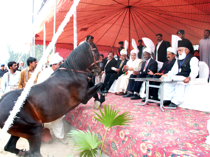 Spring festival: ‘Pak-Kenya ties will benefit agriculture’