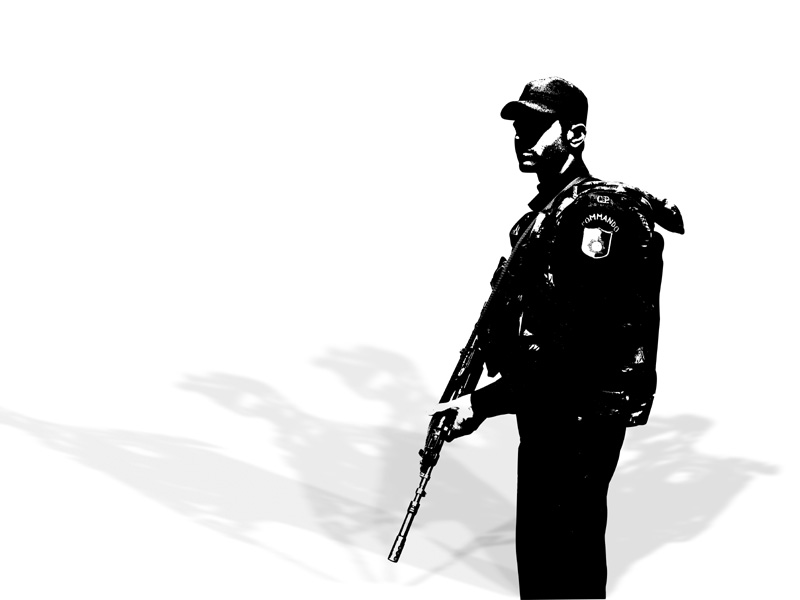 Security alert: DHA decides to take matter into its own hands