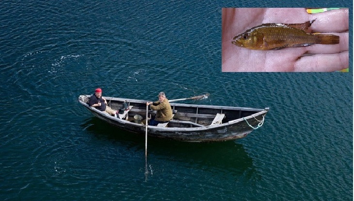 Fishing for the Great Mahseer