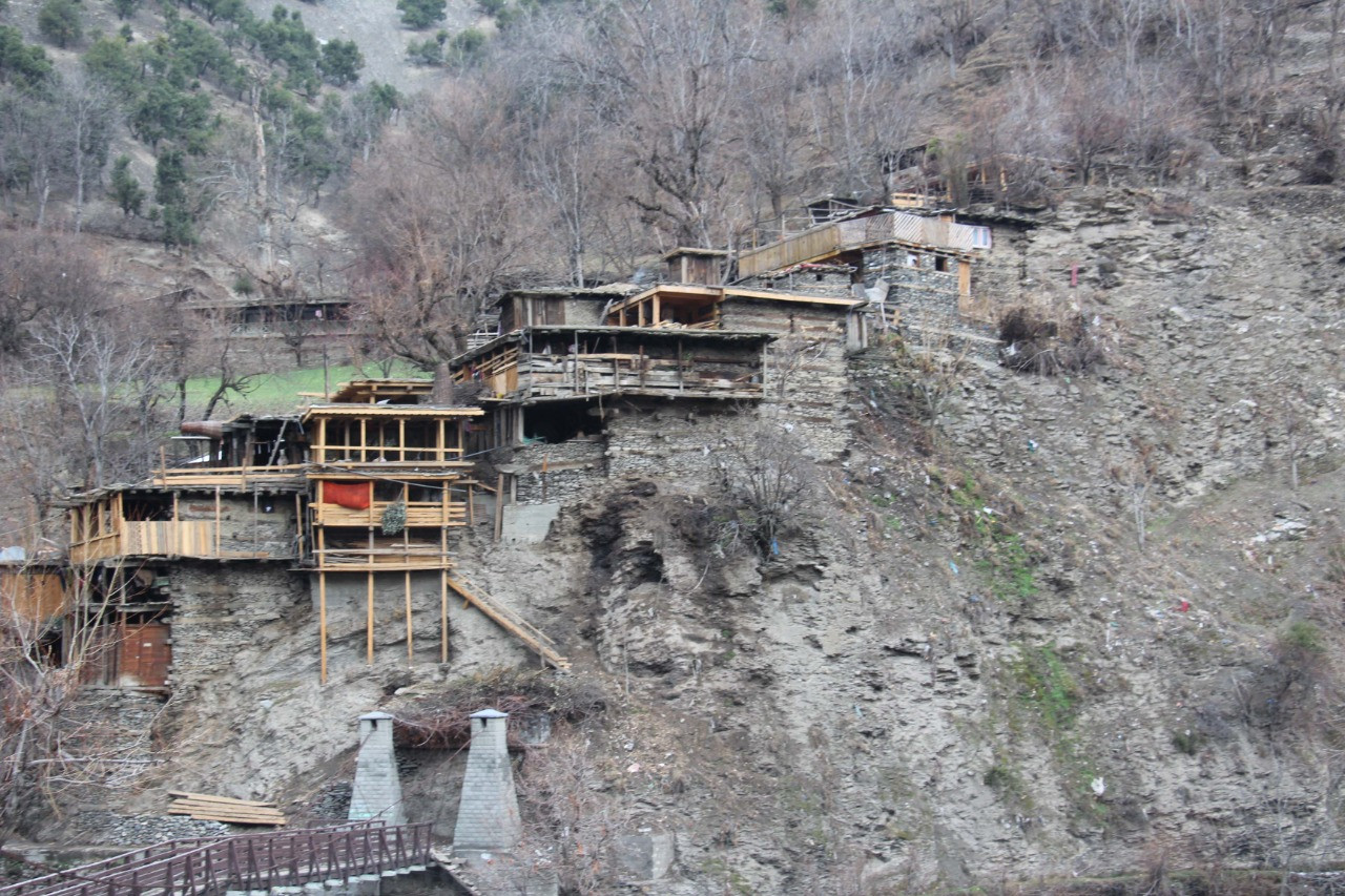 The origins of the Kalasha