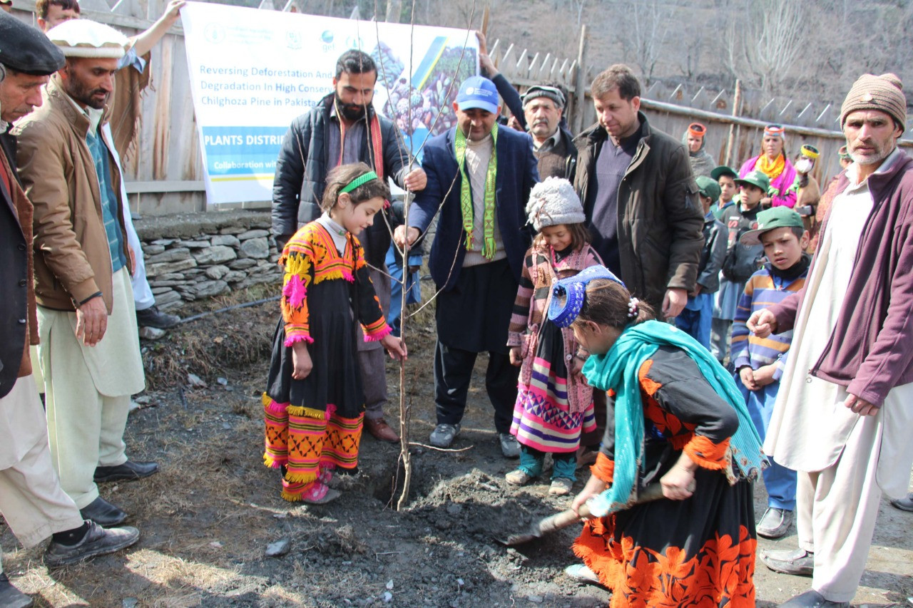 The origins of the Kalasha