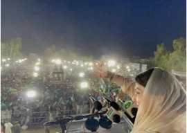 Chinese engineer marries female robot