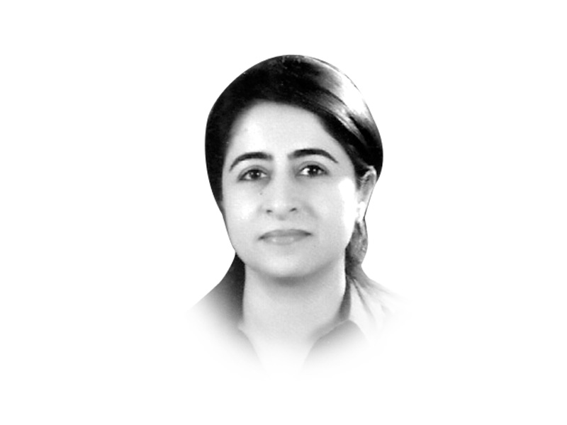 The tiger mother controversy