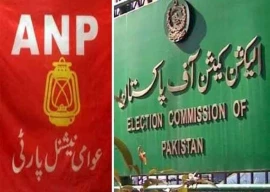 Election symbols and their importance