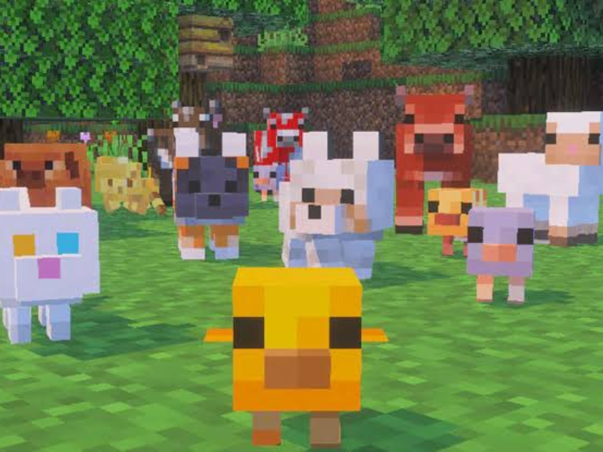 Baby Kip Minecraft I May Be In The Minority, But I Think The New Baby