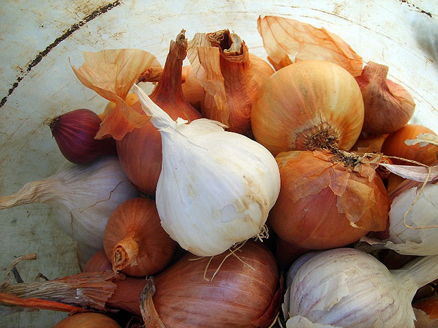 Crying over onion prices